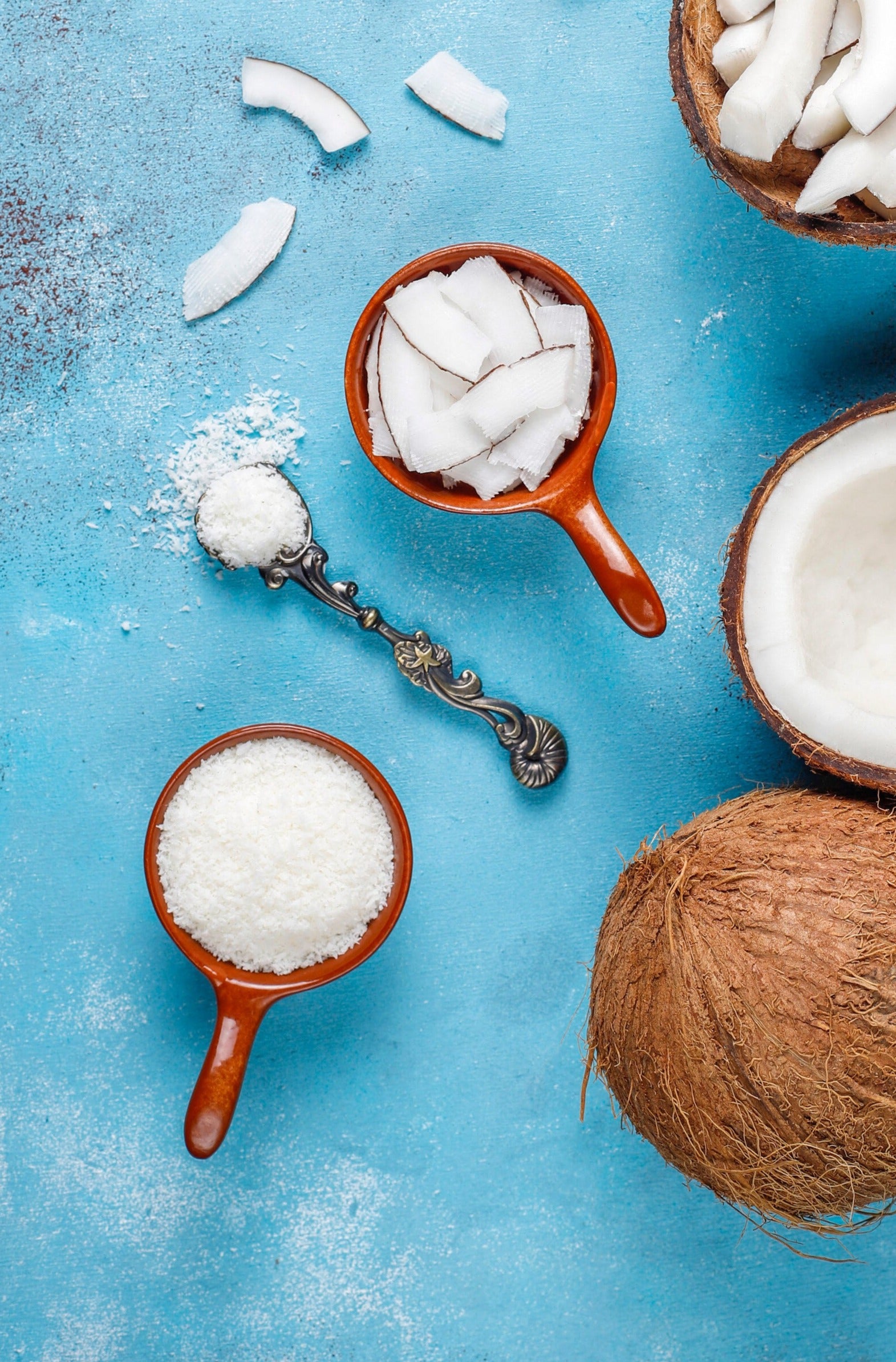 Coco em Flocos - 100g – Feiríssima